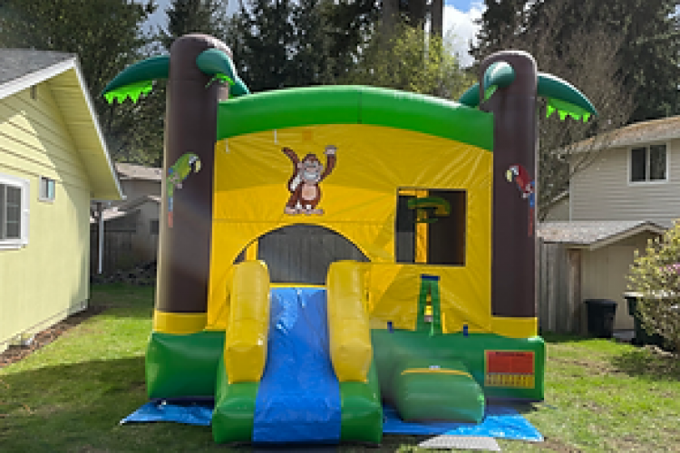 Bounce Houses - bouncing buddies